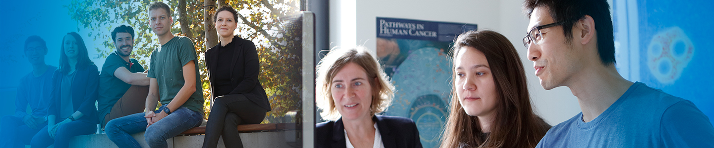 The Institute of Molecular Biology (IMB)